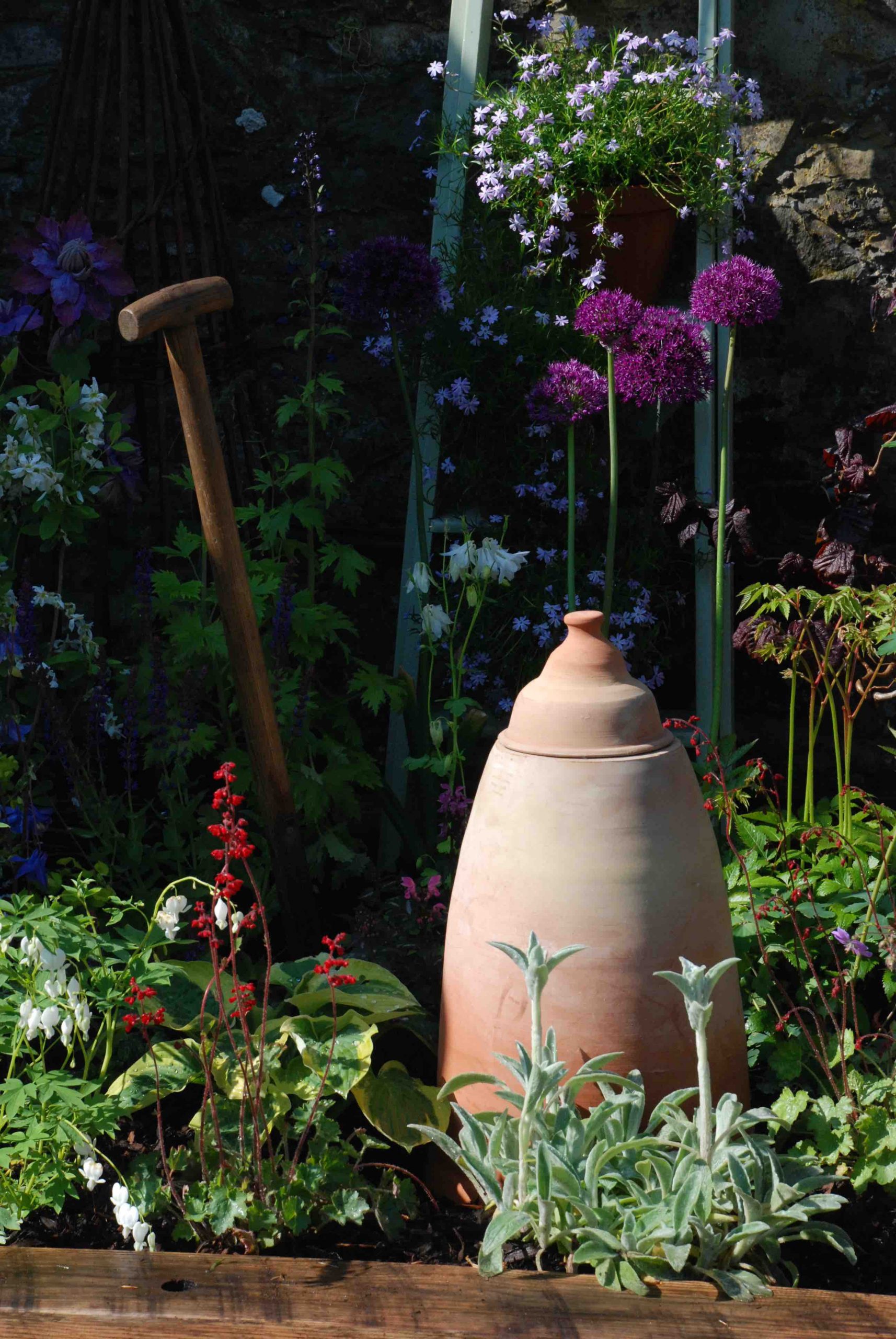 Rhubarb, rhubarb – Nags Hall Gardener