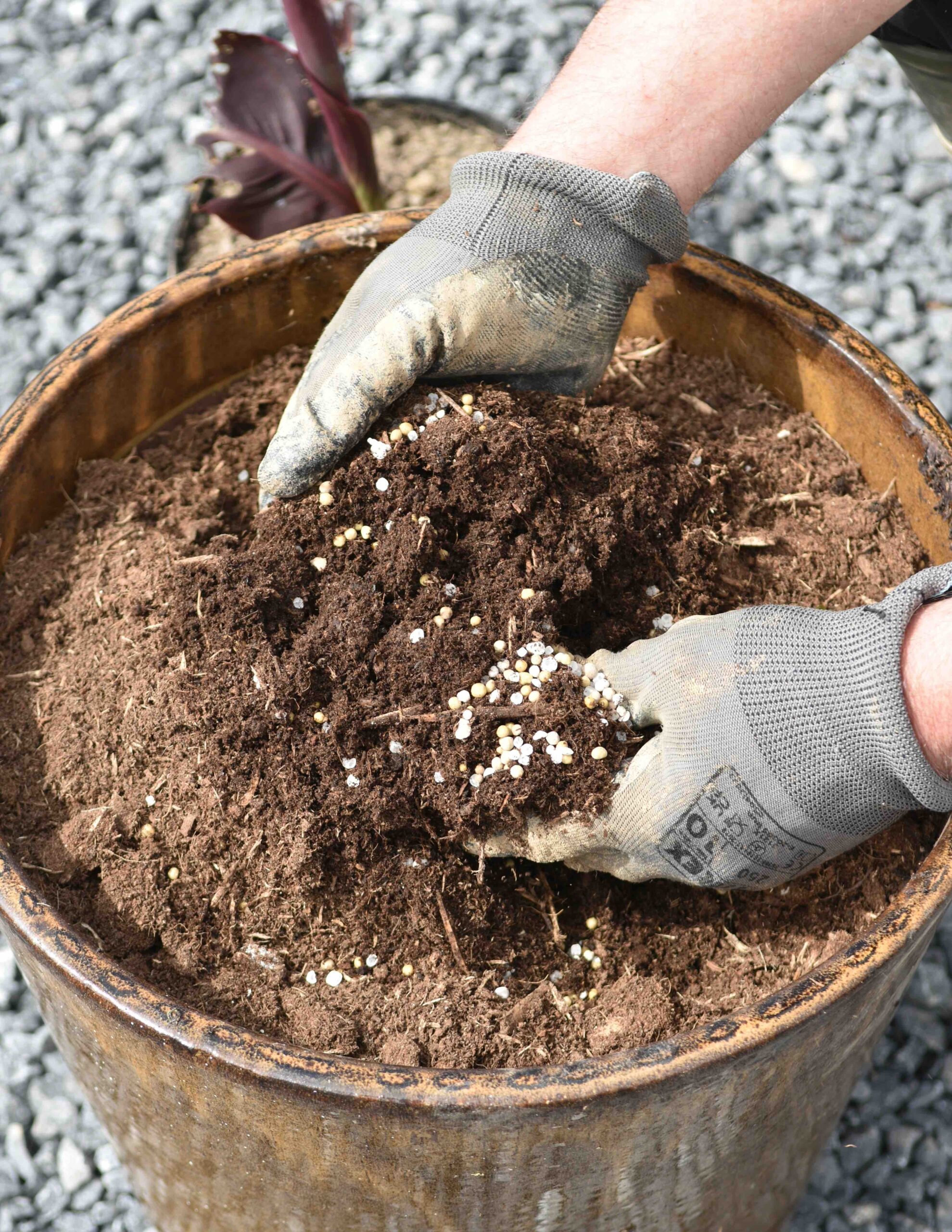 Colourful containers – Nags Hall Gardener