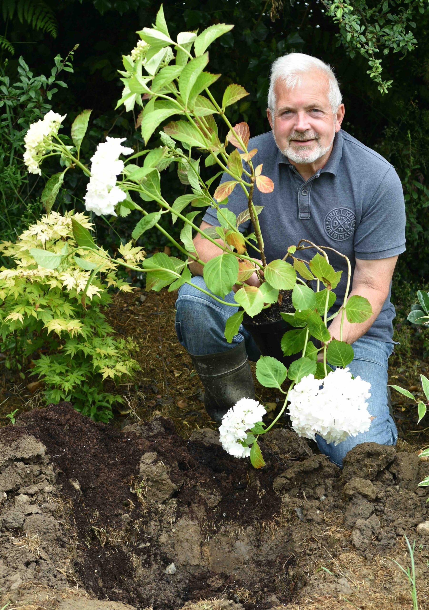 Planting shrubs in summer – Nags Hall Gardener